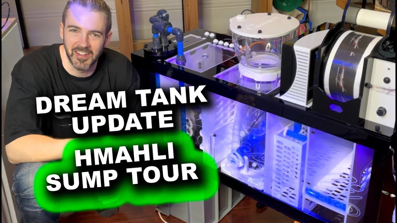 DREAM SUMP! Worlds Most Feature Packed Hmahli Sump! - YouTube