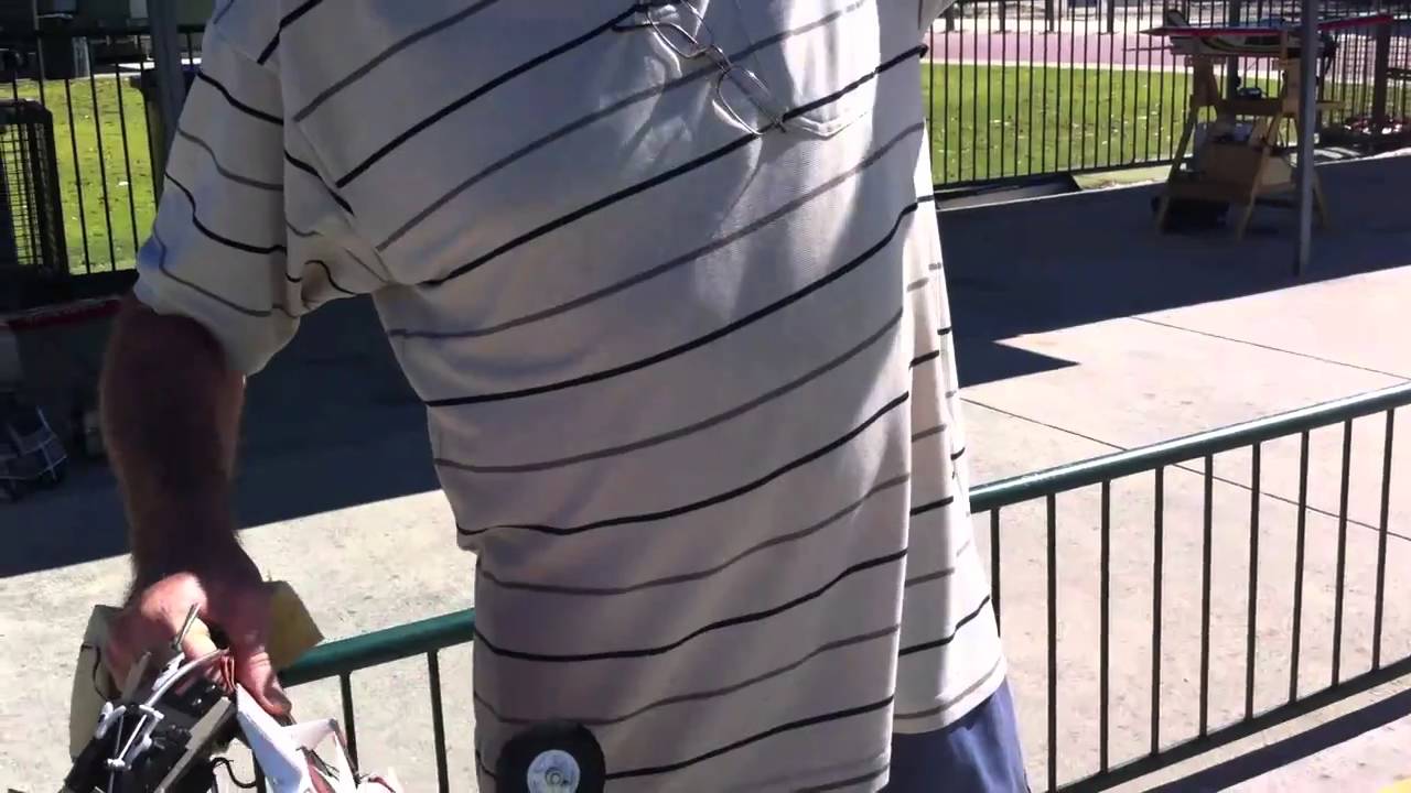 Phoenix Tiger 60 rc plane crash - YouTube