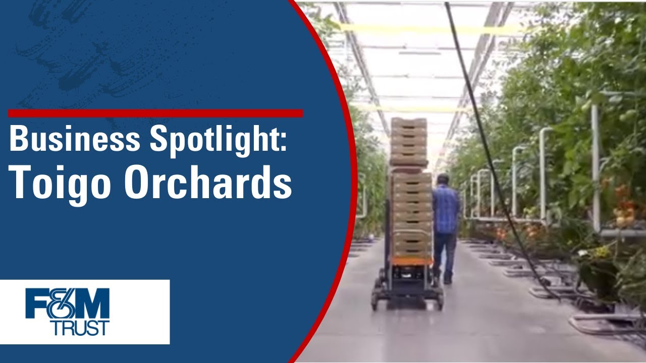 Business Spotlight - Toigo Orchards | F&M Trust - YouTube
