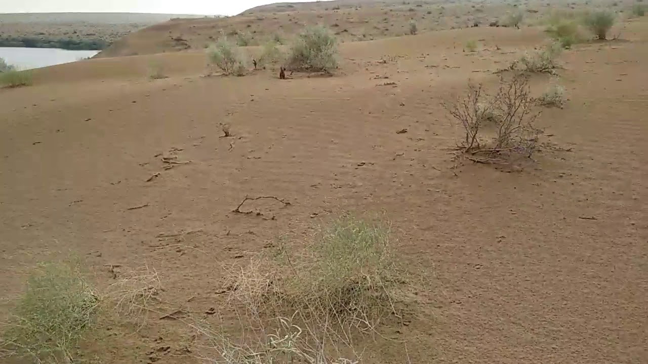 A beautiful look of BAKRI WARO LAKE village Dubbi Jiskani - YouTube