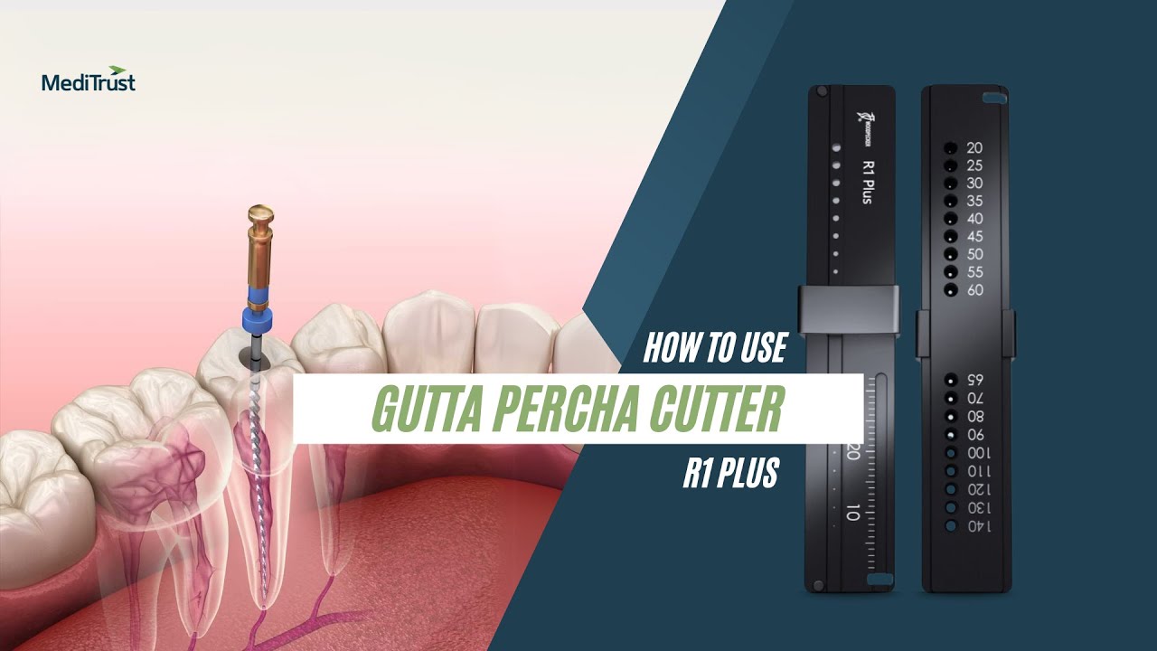 Bagaimana Menggunakan Gutta Percha Cutter R1 Plus untuk Praktik ...