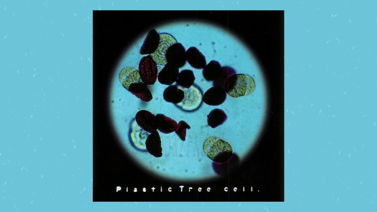 プラスティック トゥリー PLASTIC TREE ‎– Cell. - YouTube