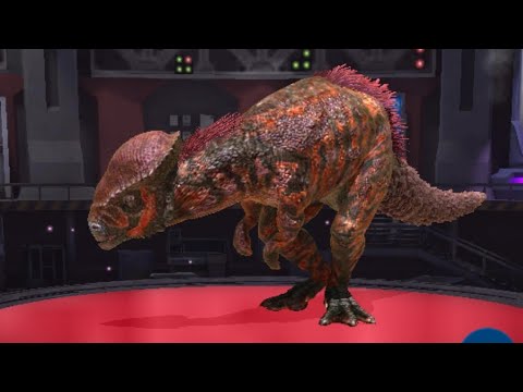 Glyptoceras boss jwa - YouTube