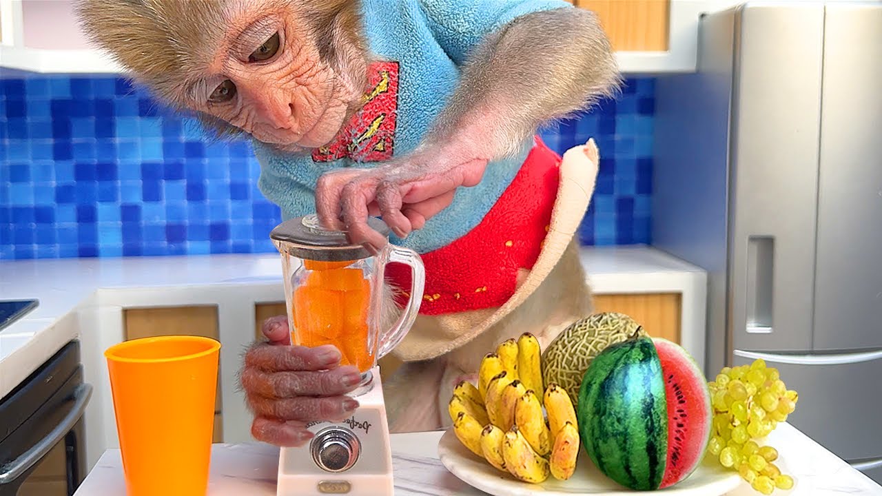Monkey Baby Bon Bon harvests fruit on the farm to make watermelon ...