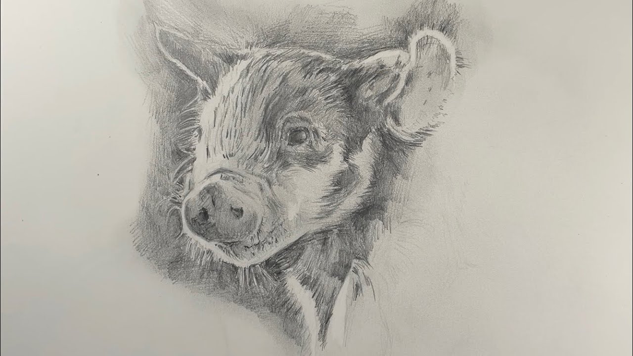 Easy Step by Step Tutorial: How to Draw a Cute Baby Pig - YouTube