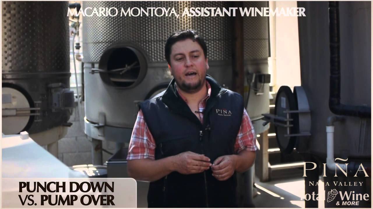 Piña Napa Valley Winery - Punch Down vs Pump Over - YouTube