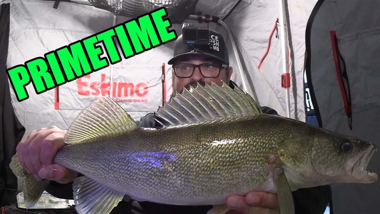 Primetime Walleye Bite | Ice Fishing Early Ice - YouTube
