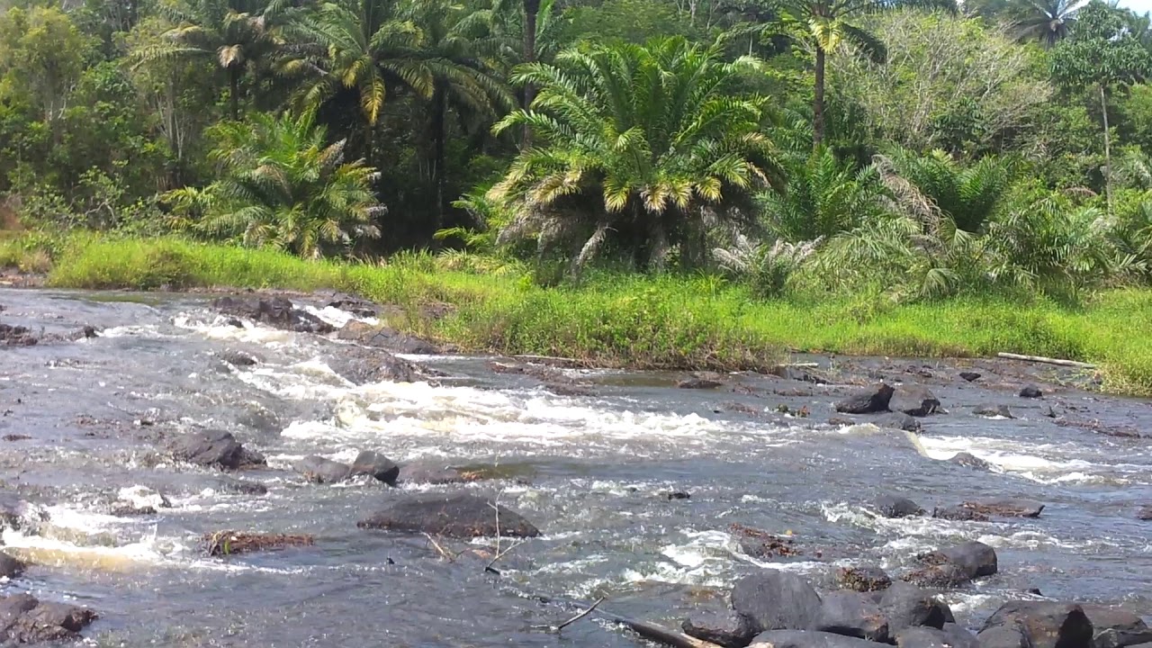 RIO DO OROBÓ VALENÇA BAHIA - YouTube