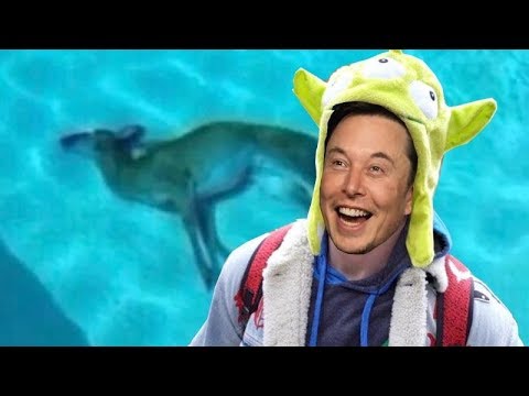 #59 4chan YLYL webms ULTRA DANK MEMES COMPILATION - YouTube