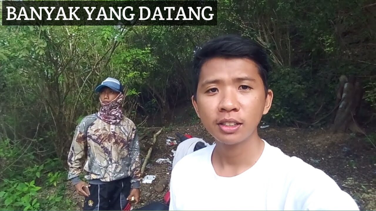 Pikat burung di kaki goa gunung payudan || arifin official - YouTube