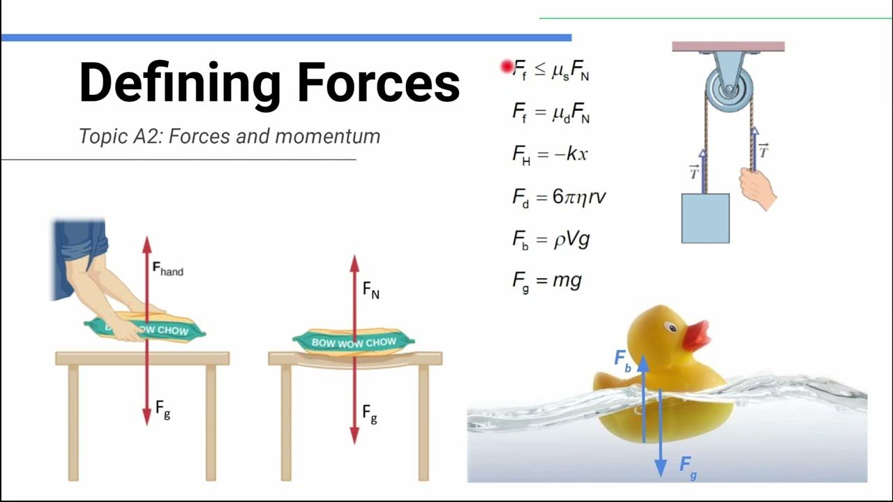 Defining Forces (part 2) - IB Physics - YouTube