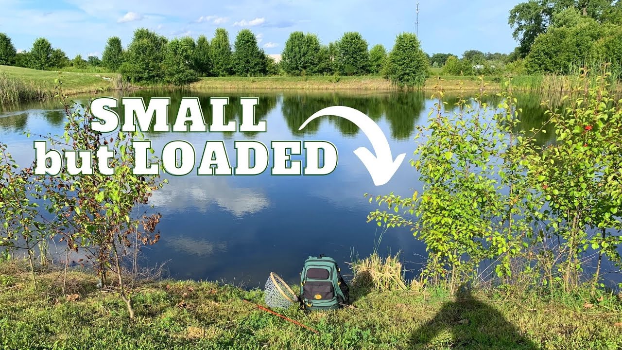 This RANDOM ROADSIDE POND Was Worth Checking Out | Ohio Pond Hopping ...