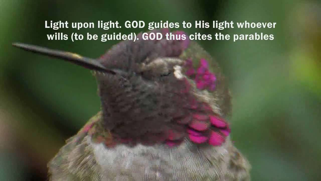Beautiful Voice Beautiful Video - sura 24 An Noor Verses 35-40 - Qari ...