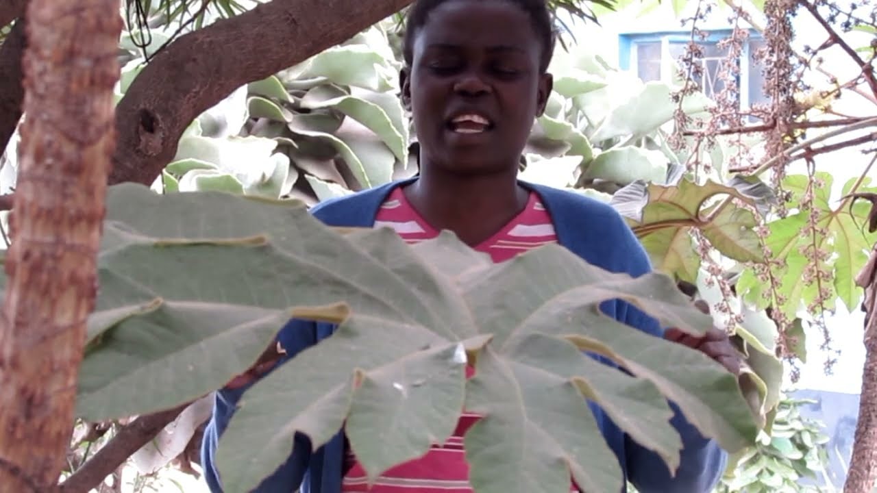 ANGELLAH - MUSHARUKWA MWARI (GOD) - YouTube