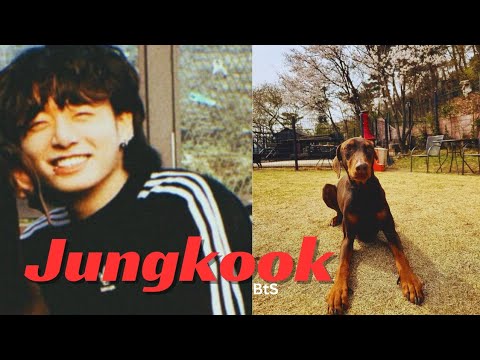 BTS's Jungkook opens up Instagram from his dog Bam || bam with Jungkook ...