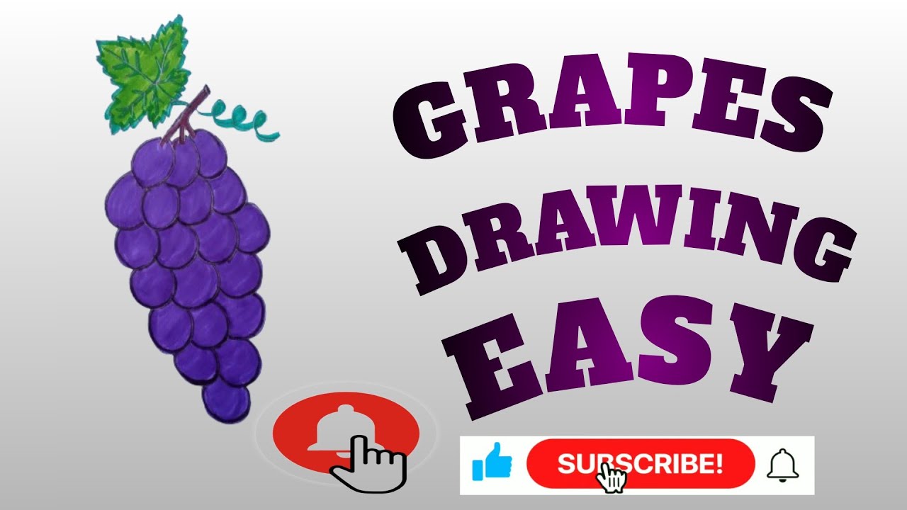 Grapes drawing||how to draw and colour grapes||grapes drawing easy step ...