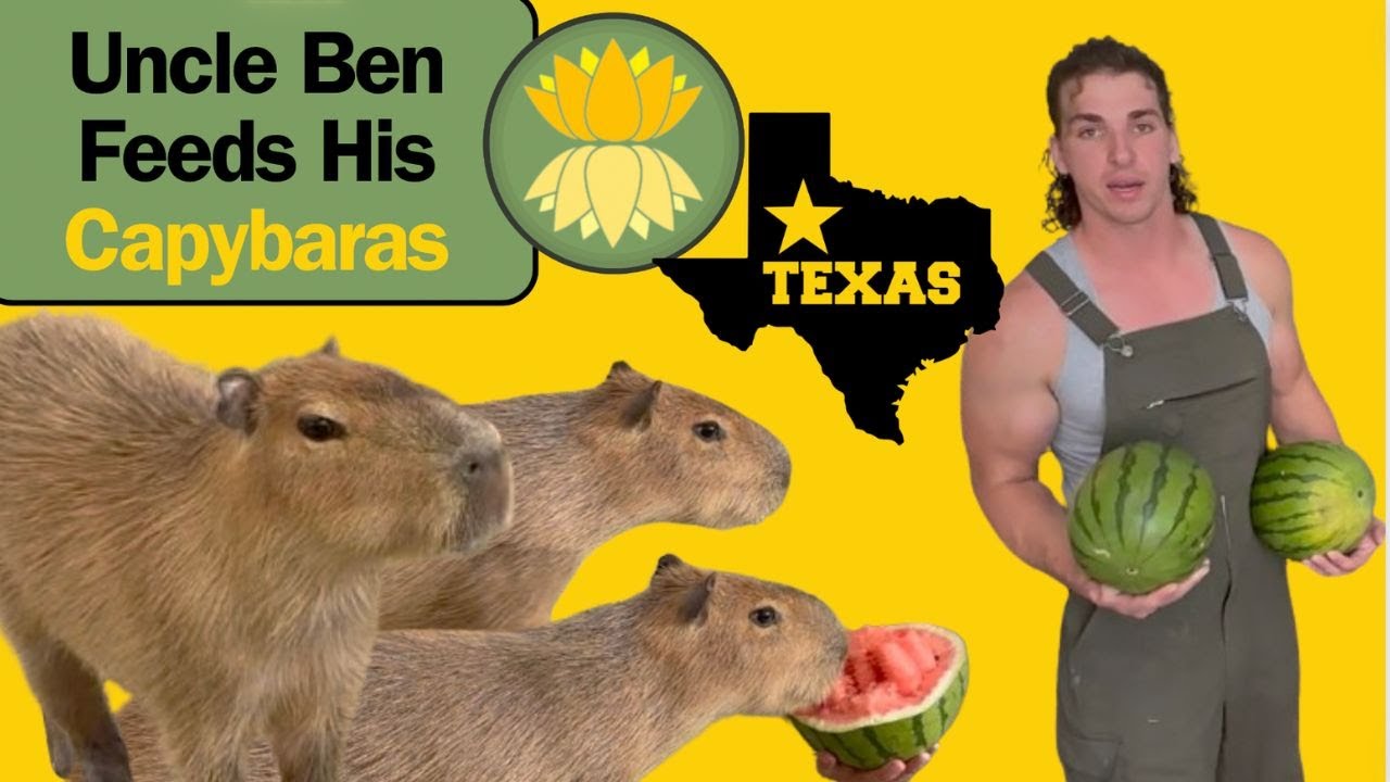 Behind The Pond Build | Uncle Ben Feeds His Capybaras - YouTube