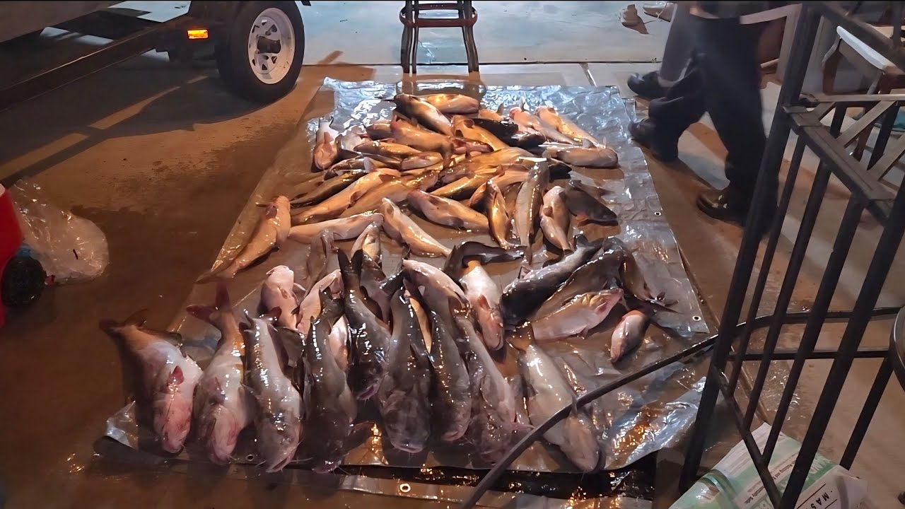Fishing in Madison WI and Braidwood IL. Kindly like and subscribe our ...