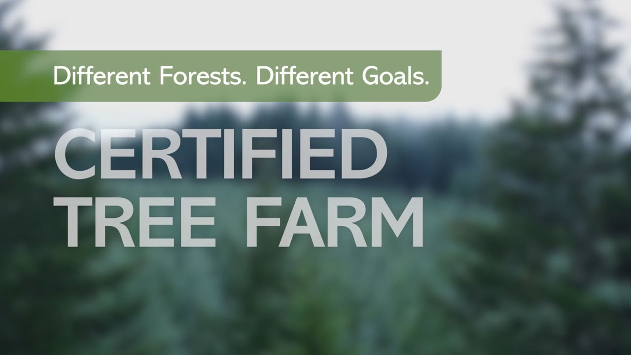 Different Forests. Different Goals. Certified Tree Farm - YouTube
