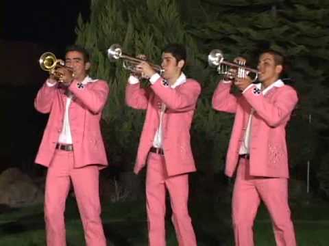 Banda Chilolos Disculpe Usted