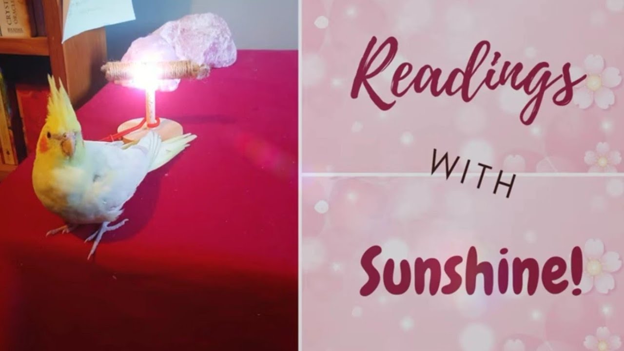 Sunshine Reading! Messages From Your Person 💕🐥 So cuuute! 😘 # ...