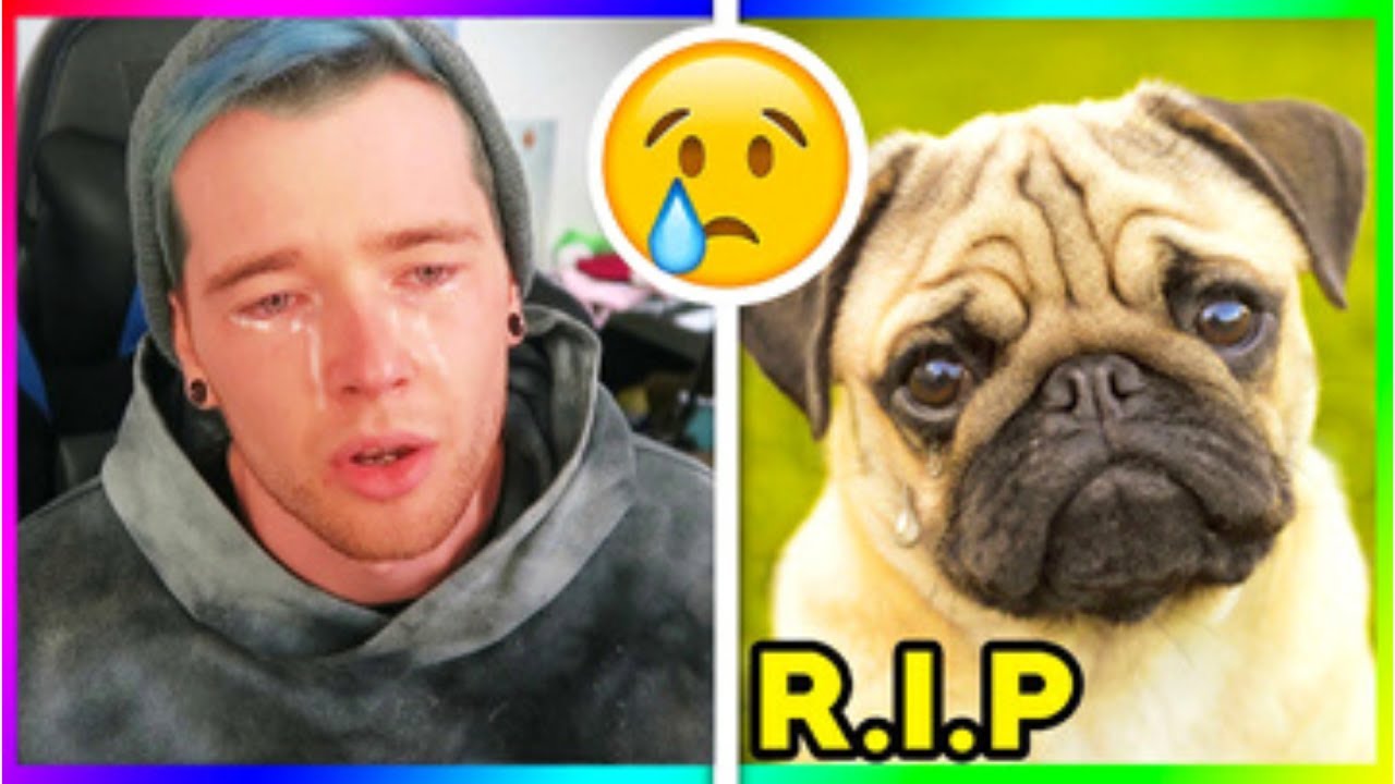 5 YouTubers Caught CRYING ON CAMERA! (DanTDM, Guava Juice, Ssundee ...