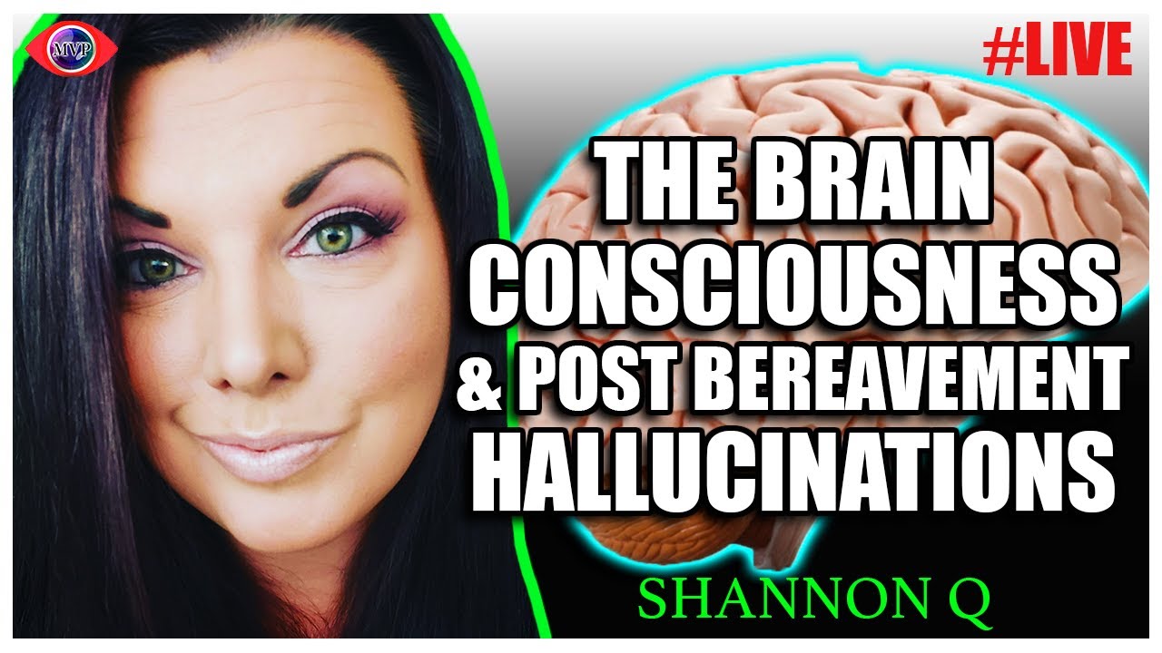 The Brain, Consciousness & Post Bereavement Hallucinations - Shannon Q ...