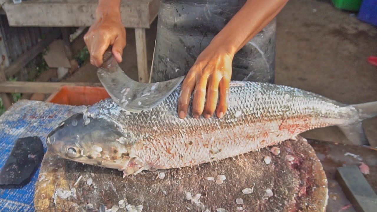 AMAZING CUTTING SKILLS || HUGE MILKFISH FISH CLEANING & CUTTING BY ...