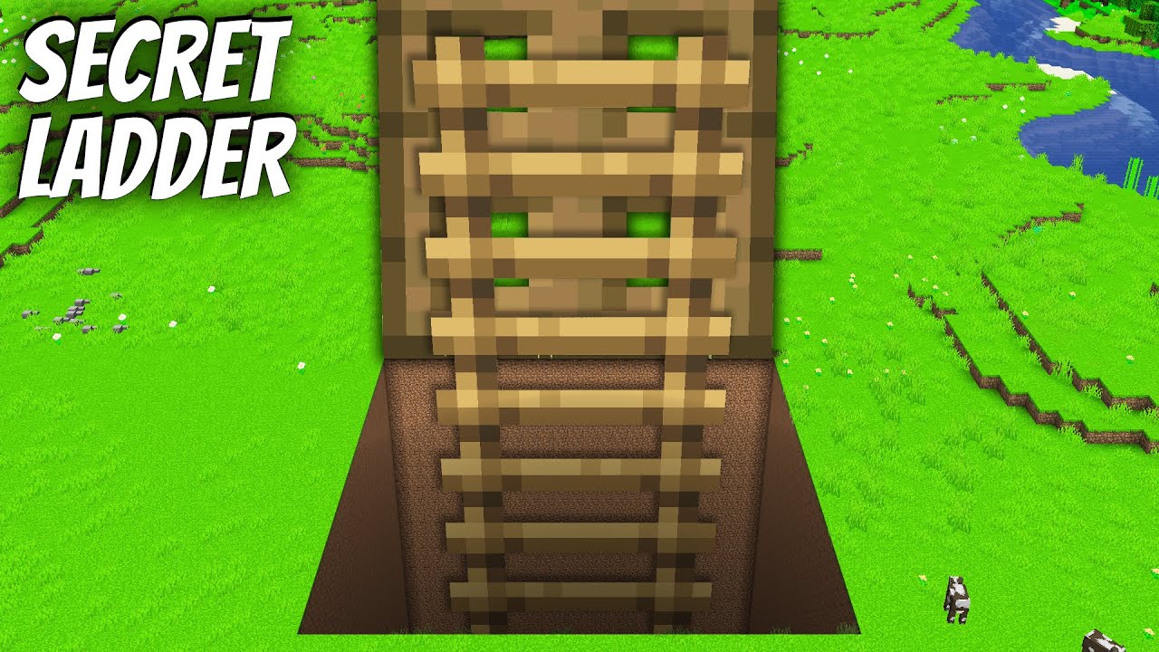 I found a SECRET PIT in Minecraft ! Where do LEAD STRANGE LADDER with ...