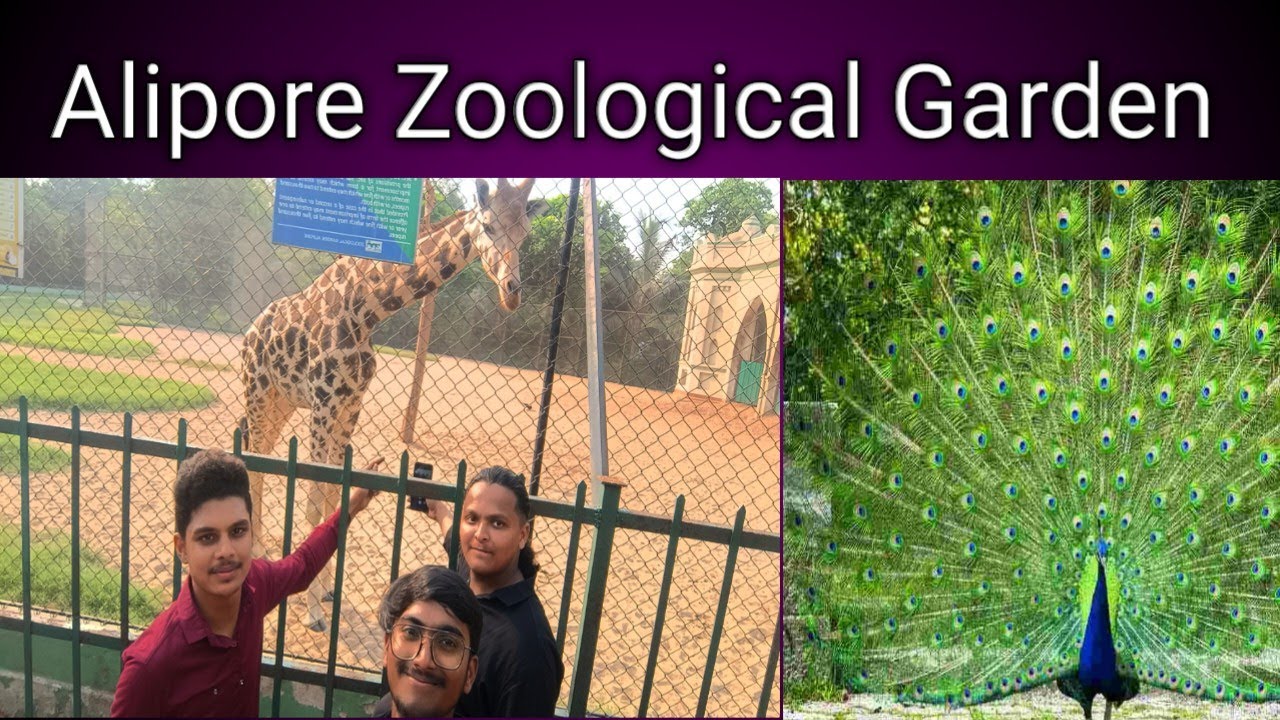 Kolkata Alipore Zoo | আলিপুর চিড়িয়াখানা 2023 | Kolkata Zoological ...