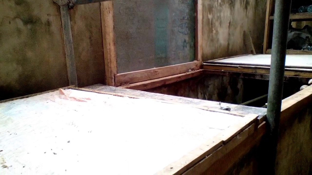 Snail farming business practical. Home set up - YouTube