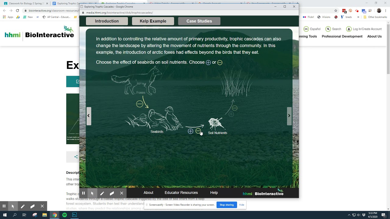 Trophic Cascades Tutorial - YouTube