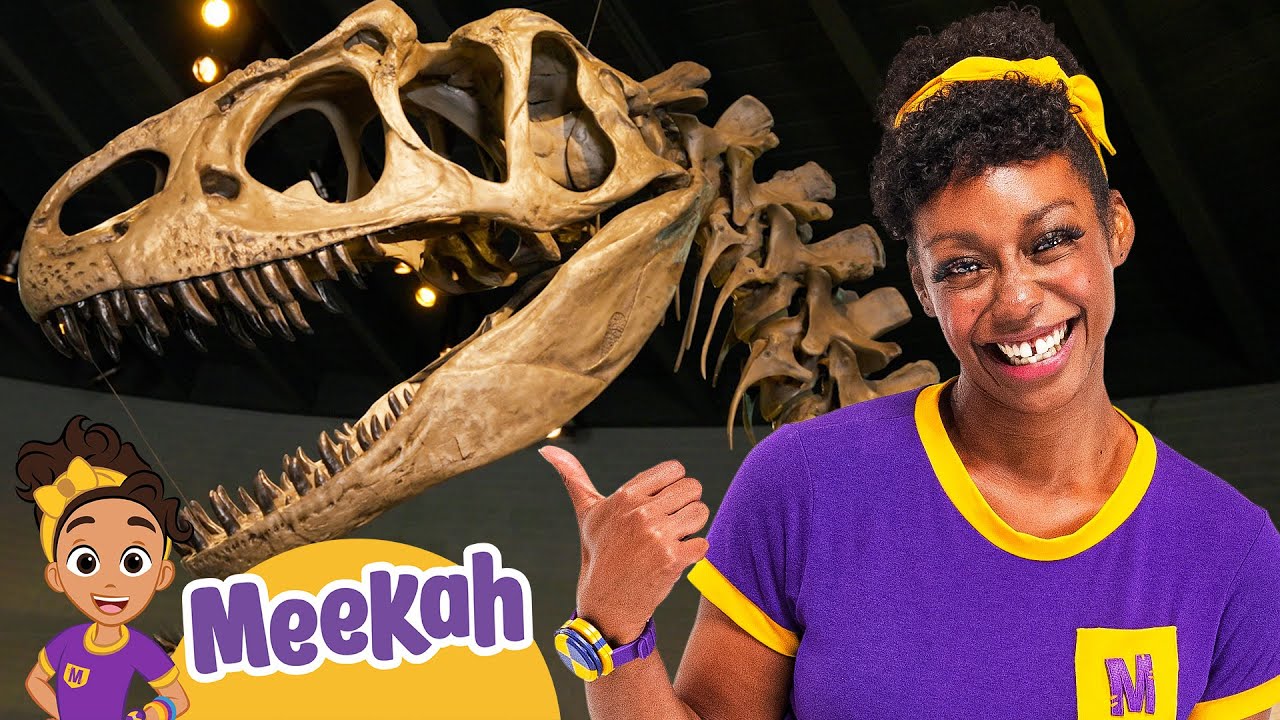 Meekah Learns About Dinosaurs in a Dinosaur Museum! | Meekah Full ...
