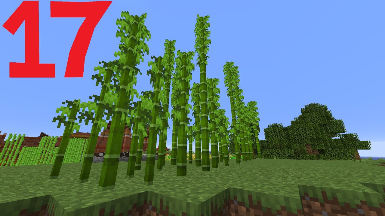 Minecraft: Bamboo Farm, Potato Farm and Carrot farm [17] - 1.16.2 Let's ...