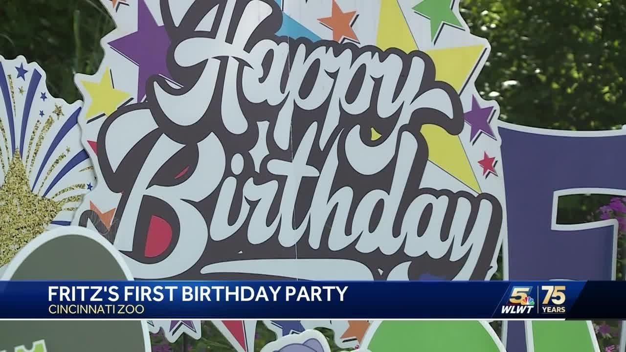 Cincinnati Zoo celebrates baby hippo Fritz's first birthday with party ...