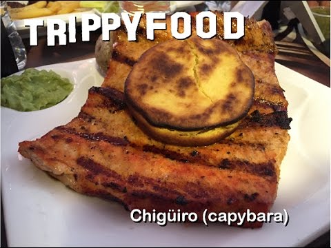 chigüiro (capybara) - YouTube