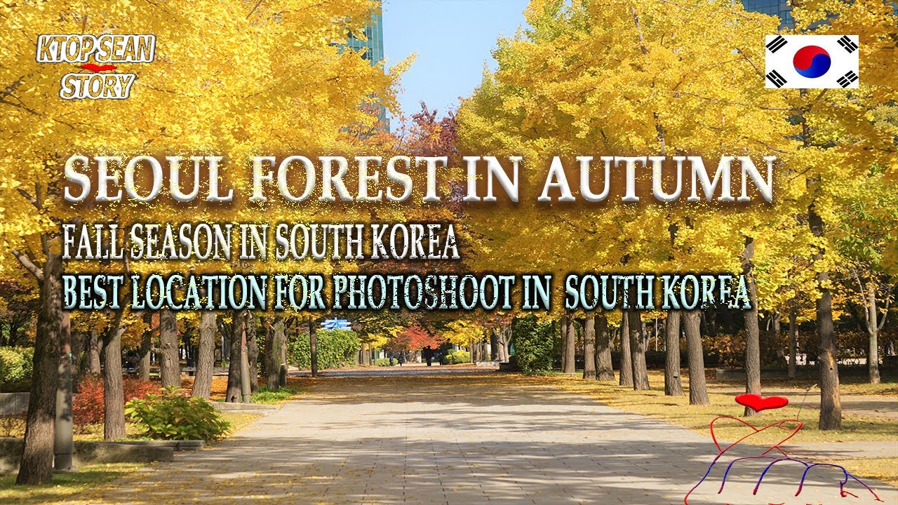 WHAT TO DO IN SEOUL FOREST | BEST PLACE TO VISIT IN KOREA | AUTUM IN ...