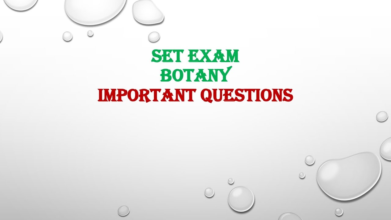 SET BOTANY IMPORTANT QUESTIONS YouTube set-botany-important-questions-youtube