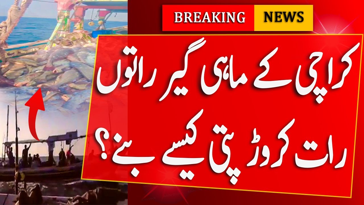 How Did the Fishermen of Karachi Become Millionaires ? | Suwa Fish in ...