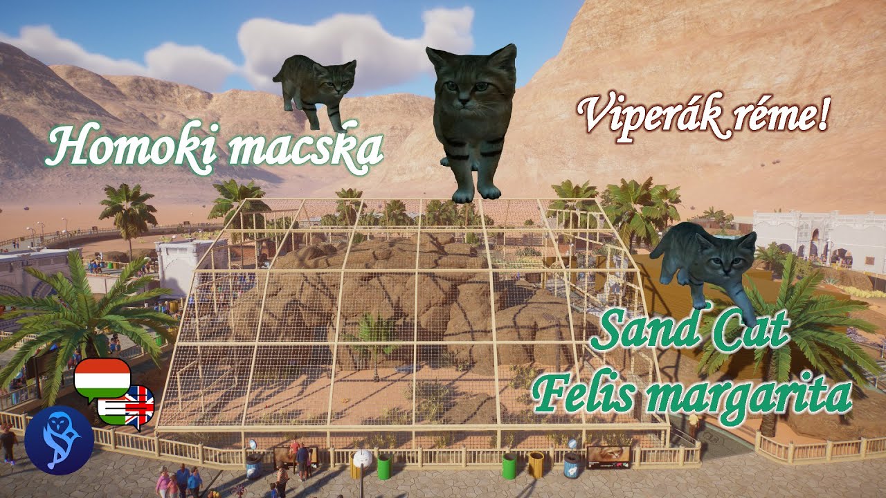 🐈Állatbemutató #146 | Homoki macska - Viperák réme! - YouTube