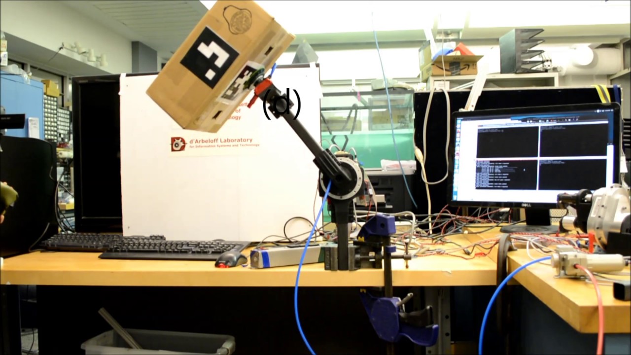 Robustness experiments with robot equiped with dsdm actuators - YouTube