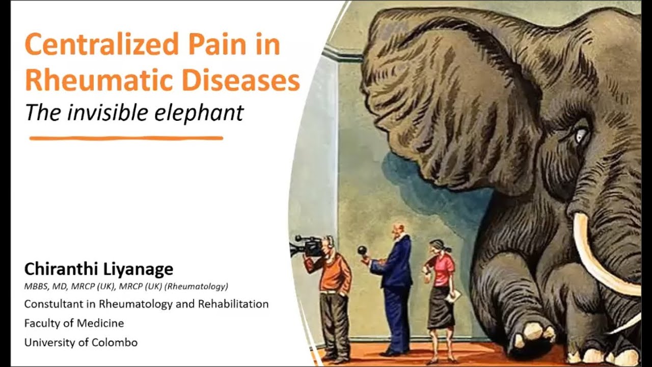 Centralized pain in rheumatic diseases:The invisible elephant+An ...