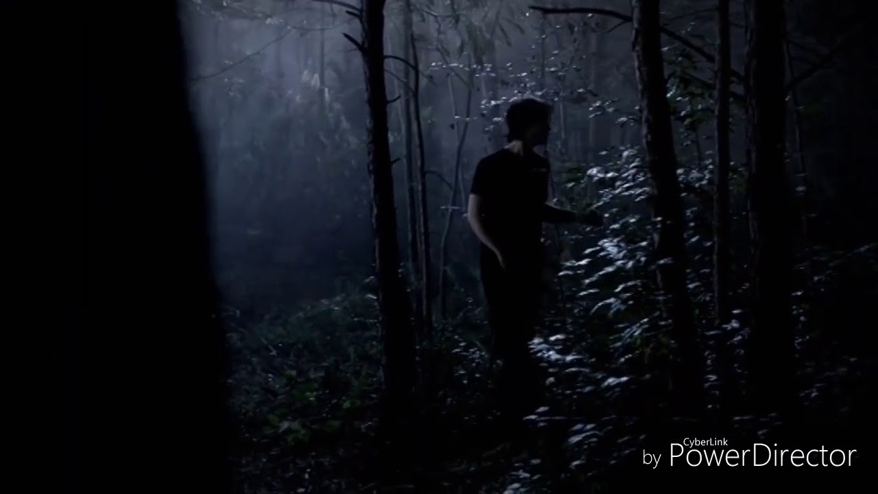 The Vampire diaries: 3×02 - Stefan Salva Damon - (ITA) - - YouTube