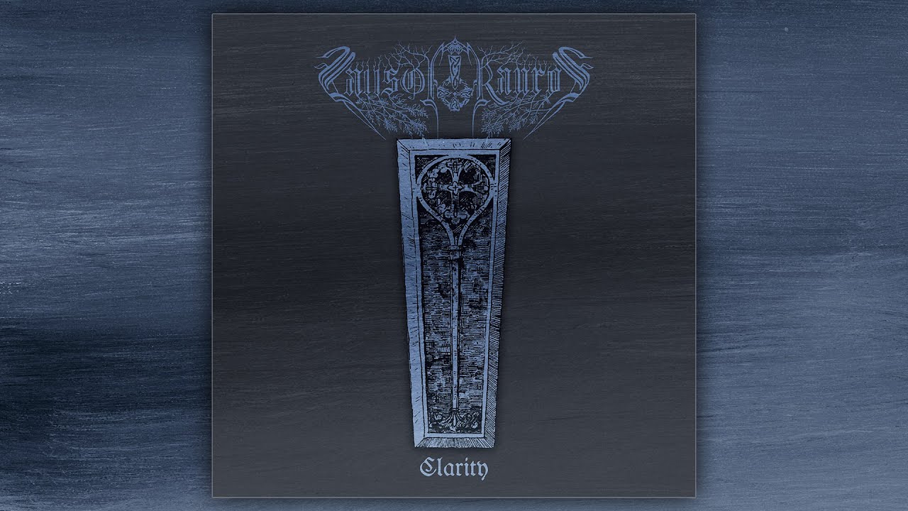 FALLS OF RAUROS - Clarity (Official Audio) - YouTube