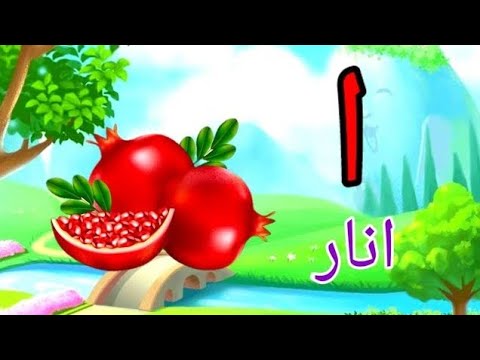 Alif Baa Taa, Urdu Alphabet,Arabic Urdu alif ba pa, Learn Urdu word ...