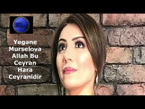 Yegane Murselova - Allah Bu Ceyran Hara Ceyranidir | Azeri Music [OFFICIAL]