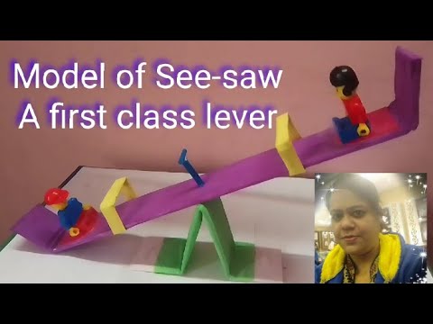 First Class Lever Seesaw