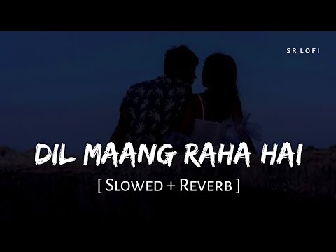 Dil Maang Raha Hai Mohlat (Slowed + Reverb) | Yasser Desai | Ghost | SR Lofi
