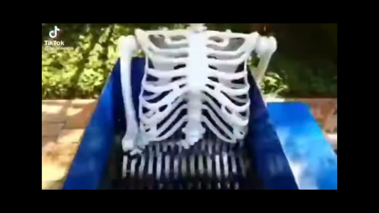 Skeleton gets shredded - YouTube