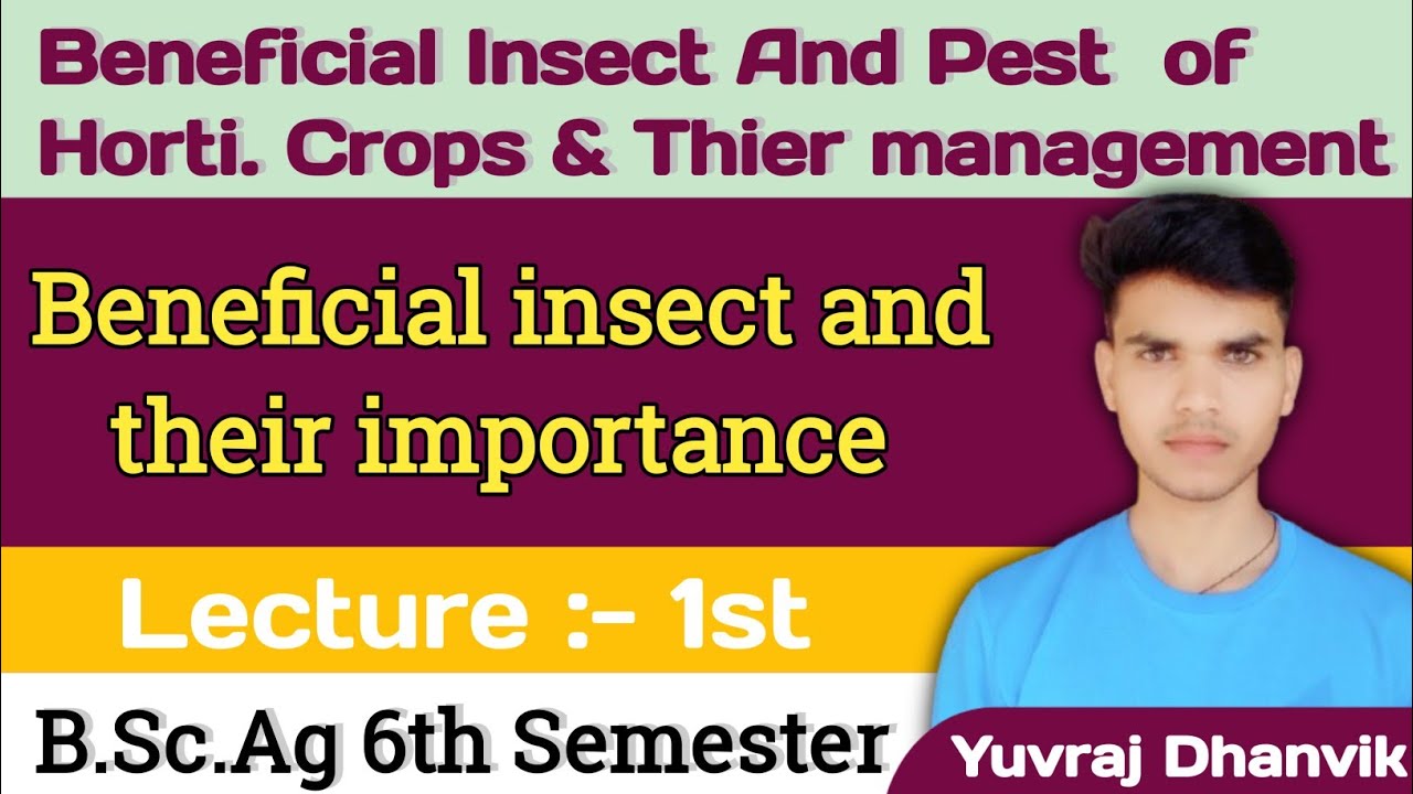 beneficial insects | beneficial insects and pests of horticultural ...